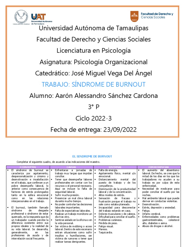 El Sindrome de Burnout | PDF
