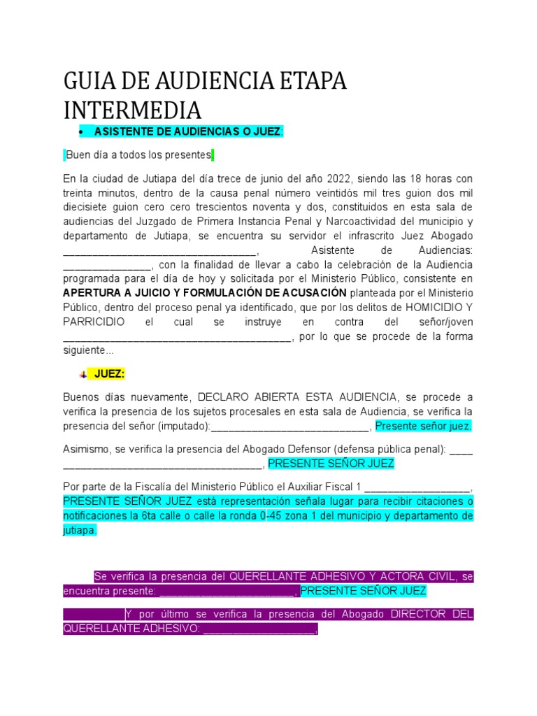 Guia - Audiencia Etapa Intermedia-1 | PDF