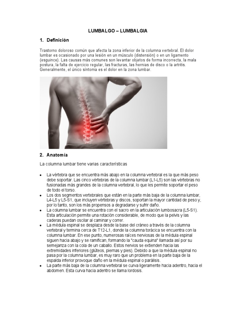 Lumbago - Dolor lumbar: causas, síntomas y tratamiento | PDF | Dolor lumbar | La columna vertebral