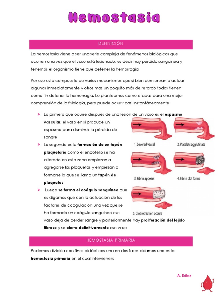 HEMOSTASIA | PDF | Coagulación | Hemostasia