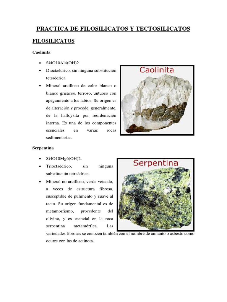 Practica de Filosilicatos y Tectosilicatos | PDF | Minerales | Arcilla