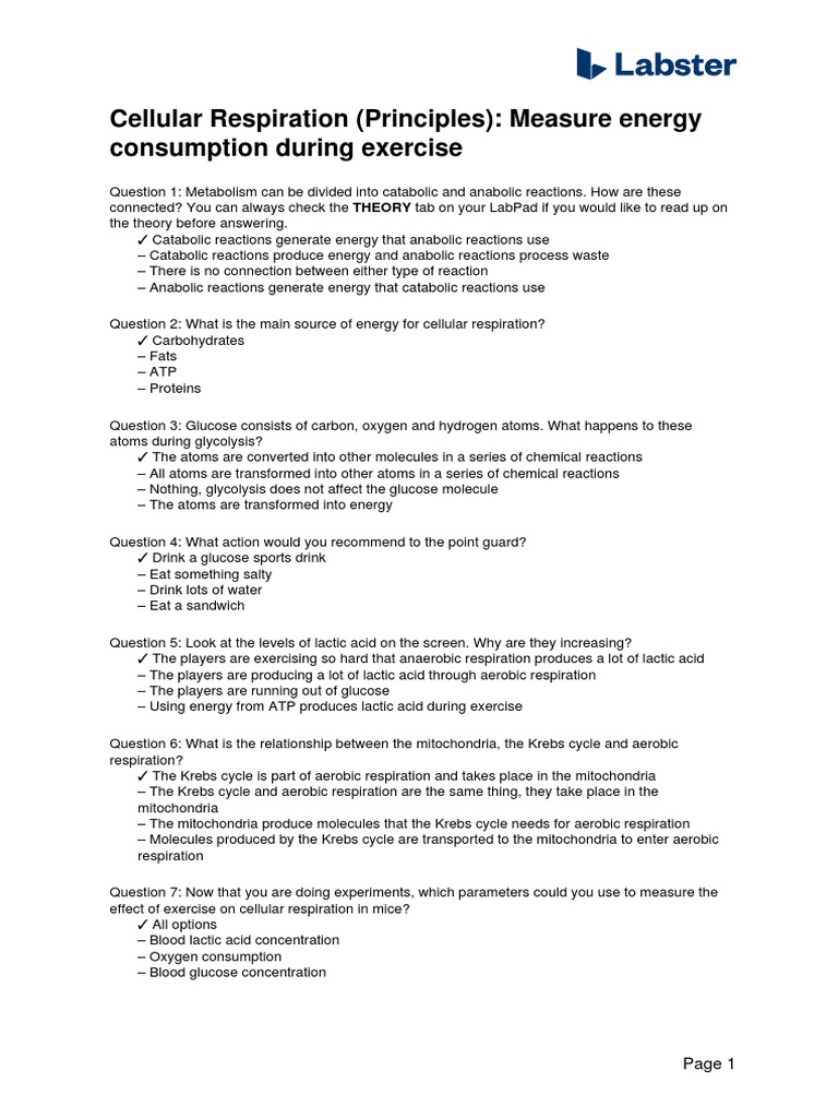 8questions Cellular Respiration Principles Measure Energy Consumption ...