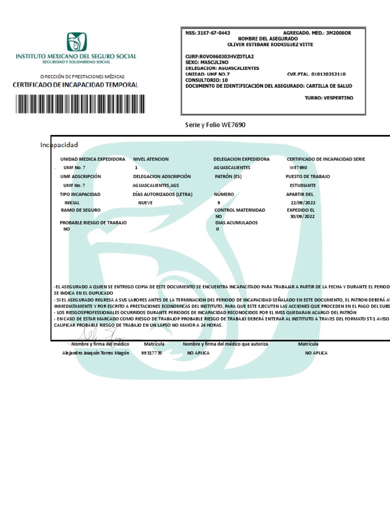 Formato Incapacidad Imms | PDF