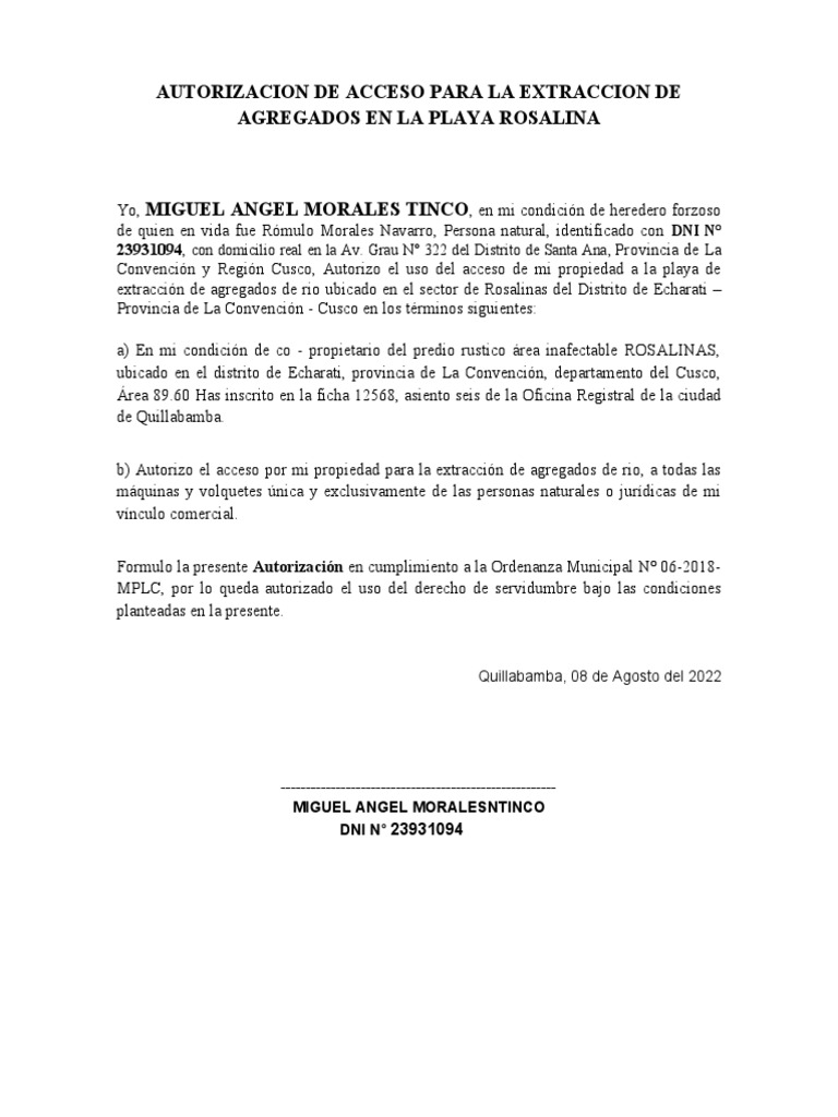 Autorizacion de Acceso | PDF