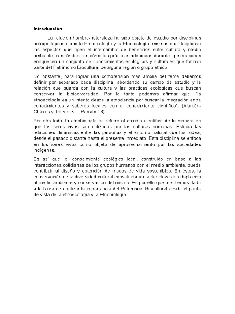 Introducción Ensayo Pdf Ciencias Sociales Historia