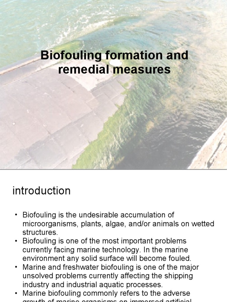 Biofouling Formation | PDF | Chemistry | Nature