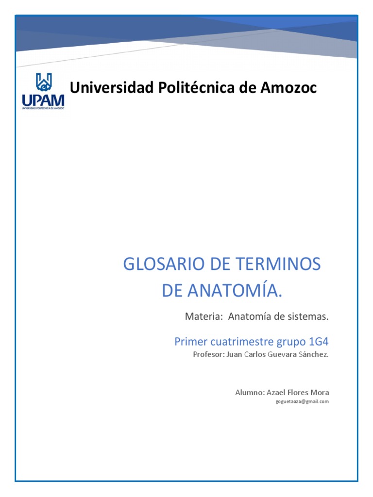 Glosario De Términos De Anatomía Pdf Hueso Términos Anatómicos De