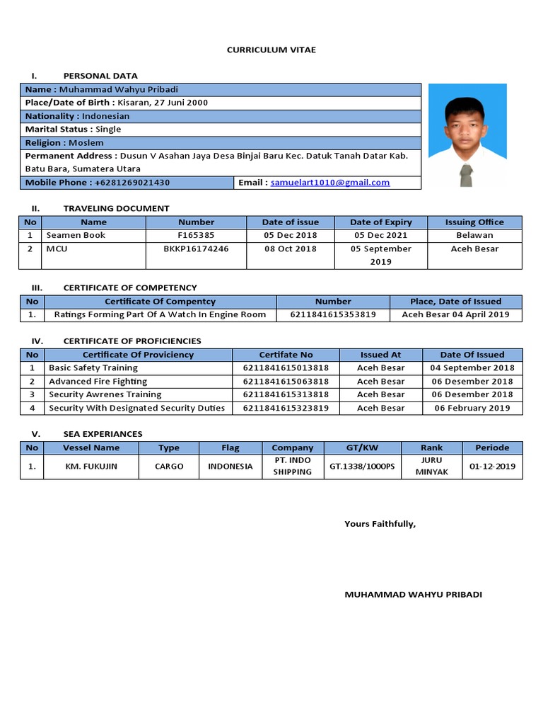 Curriculum Vitae | PDF