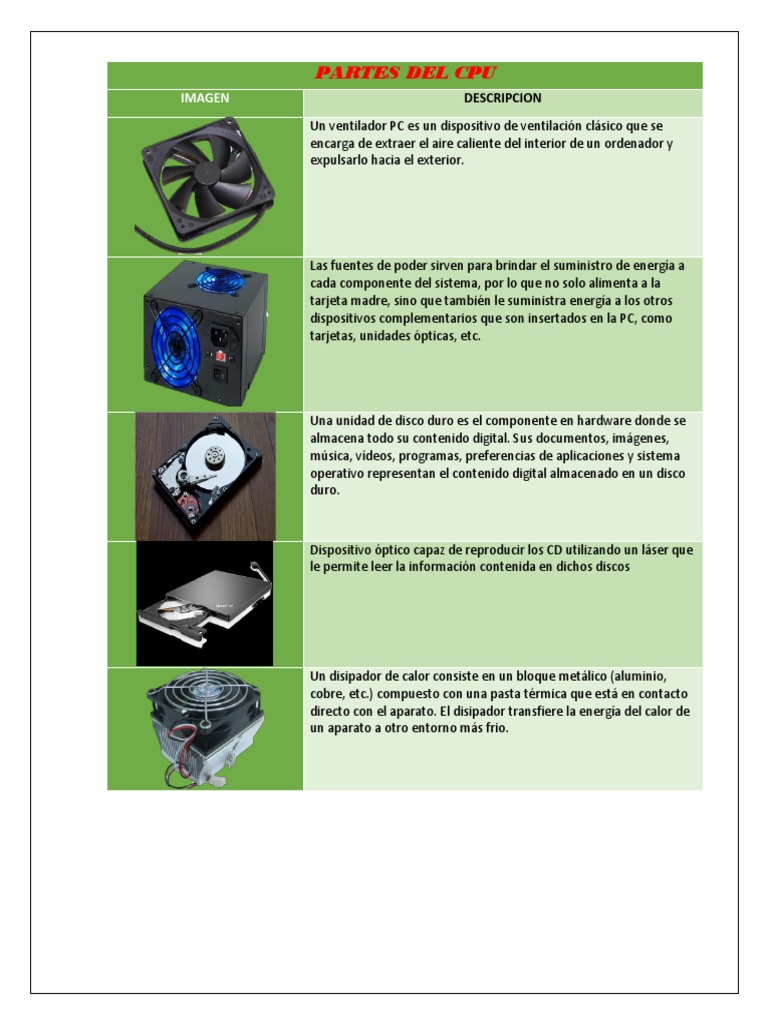 Partes y Funciones del CPU | PDF | Hardware de la computadora | Disco duro