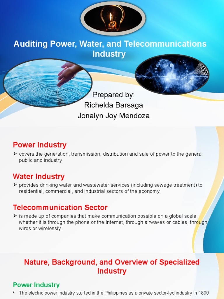 Auditing Power, Water, and Telecom Sectors | PDF | Electric Power ...