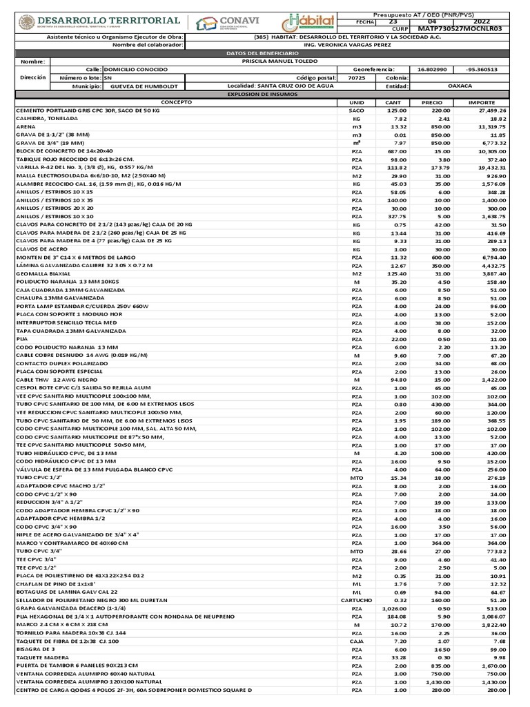 Priscila Manuel Toledo - Exp - Ins | PDF