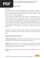 Significado e Origem do Adufe | PDF | Ciências Sociais | Arte