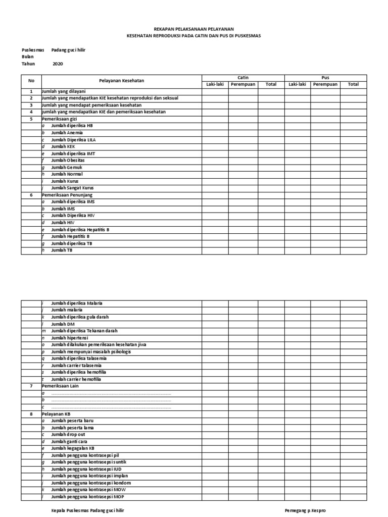 Rekap Pelaksanaan Pelayanan | PDF
