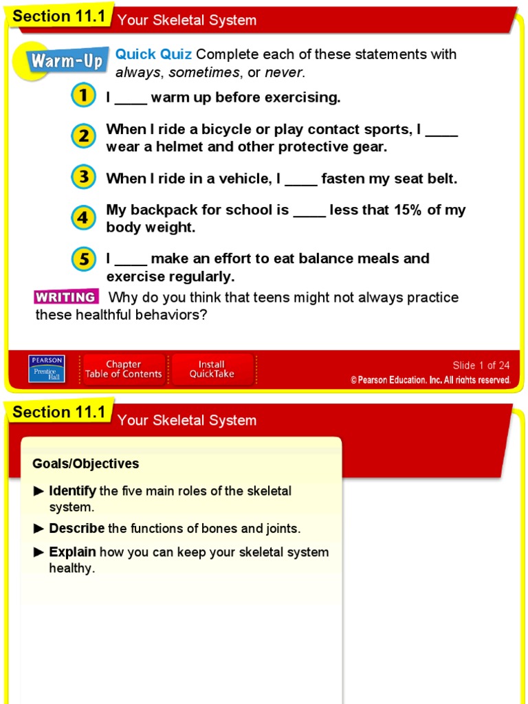 Skeletal System - Lesson 19 | PDF | Bone | Skeleton