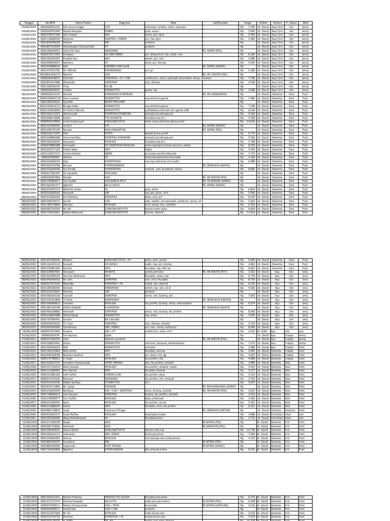 Rincian Pasien Bpjs | PDF