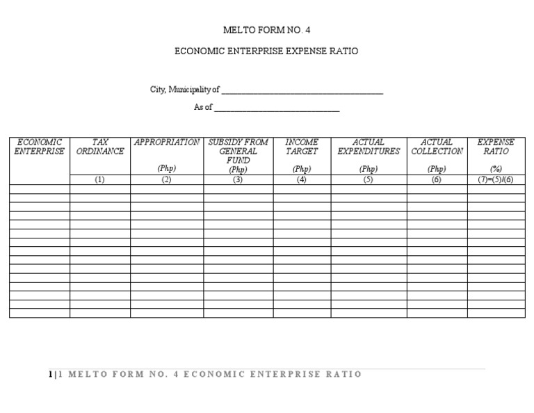 Melto Form No. 4 - Ee Expense Ratio | PDF