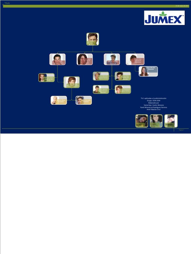 Organigrama Jumex | PDF