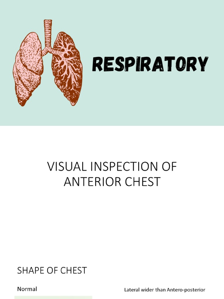 Anterior and Posterior Chest Assessment | PDF | Thorax | Clinical Medicine