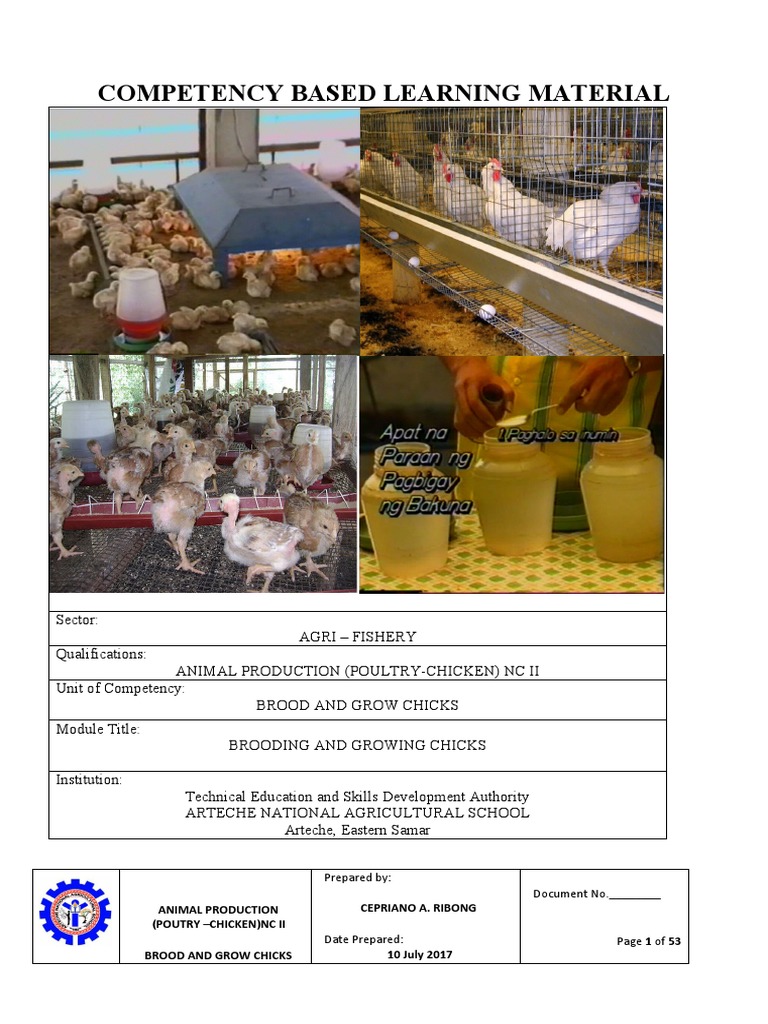 Brooding and Growing Chicks Guide | PDF | Chicken | Disinfectant