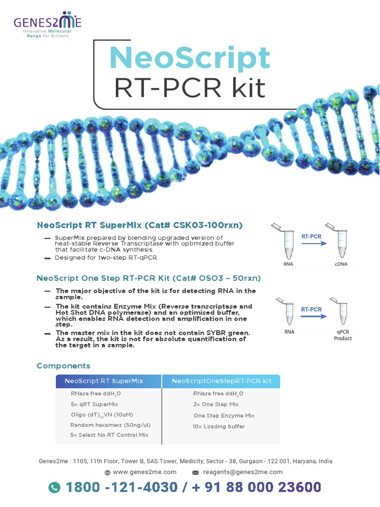 NeoScript RT-PCR Kit Overview | PDF