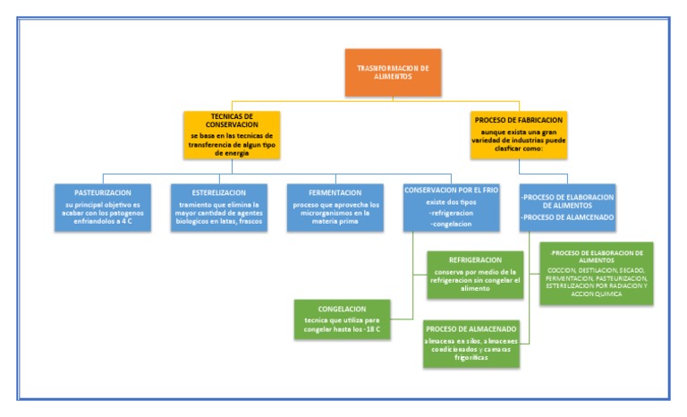Mapa Conceptual Transformacion de Alimentos | PDF | Política alimentaria | Nutrición
