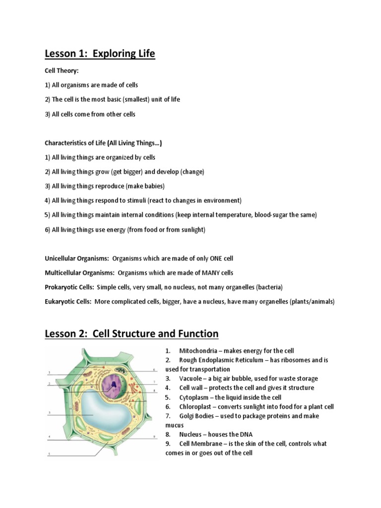Grade 6 Science Q1 Review Package | PDF | Cell (Biology) | Skeleton