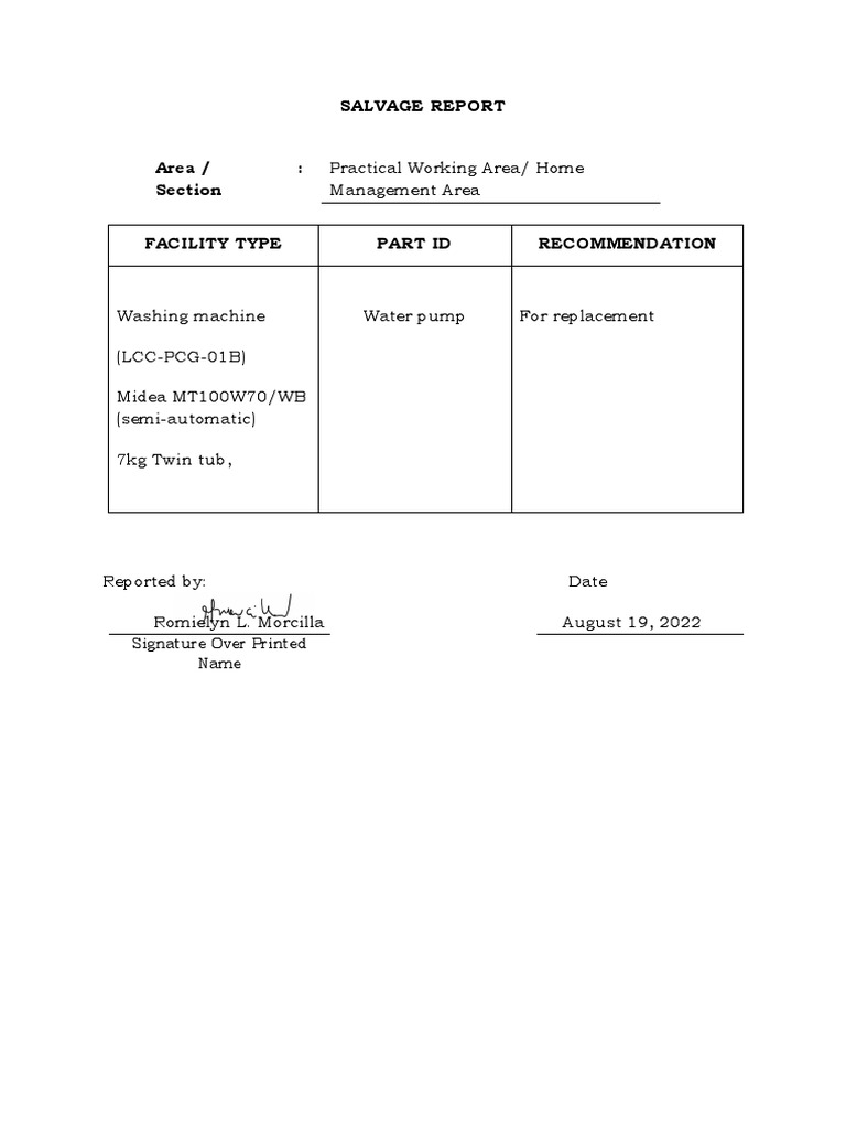 Rlm-Salvage Report | PDF