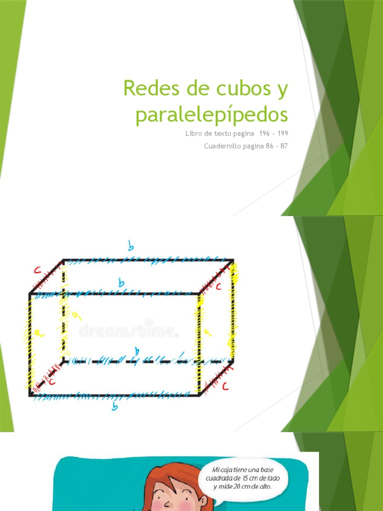 Redes de Cubos y Paralelepipedos | PDF