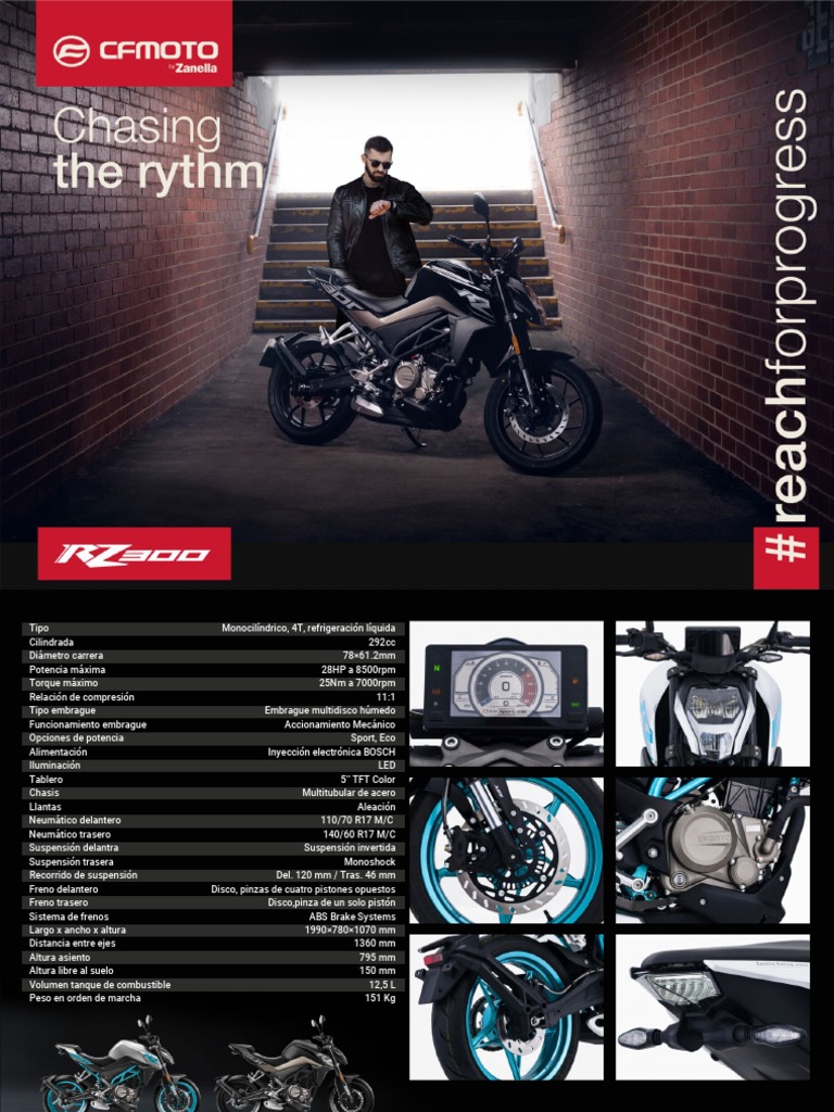 FICHA TÉCNICA - RZ300 - Print OK | PDF