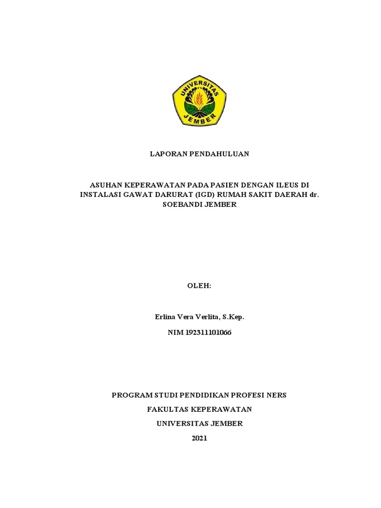 Erlina Vera - 19-66 - LP Ileus Dan Resume Peritonitis IGD | PDF