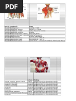 Kaplan Anatomy Coloring Book | PDF | Foot | Human Leg