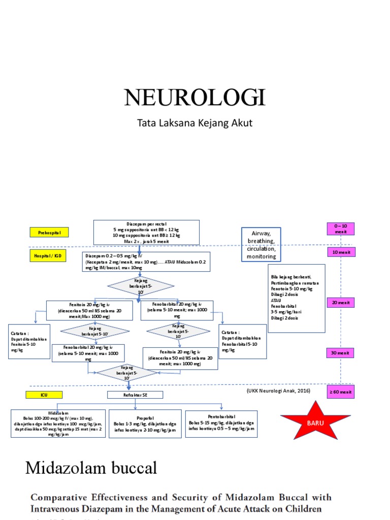 NEUROLOGI - Algoritme Kejang | PDF