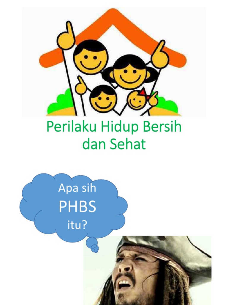Panduan Perilaku Hidup Bersih Sehat | PDF | Kesehatan Holistik