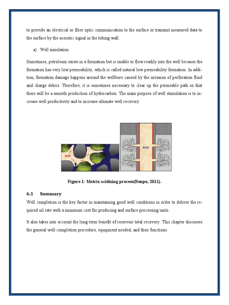 Figure 1: Matrix Acidizing Process (Renpu, 2011) | PDF | Oil Well ...