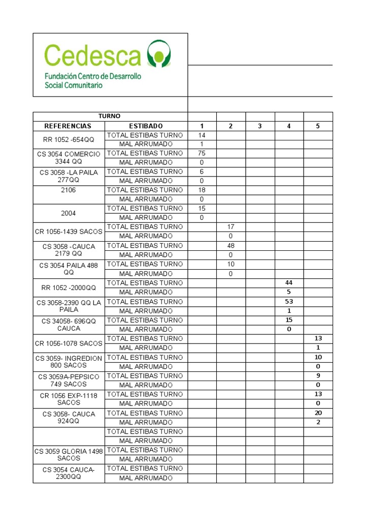 Informe de Estibado y Verificación de Turnos | PDF
