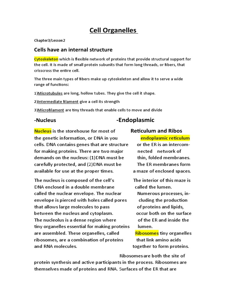 Cell Organelles Worksheet Answer Key - Admuscente