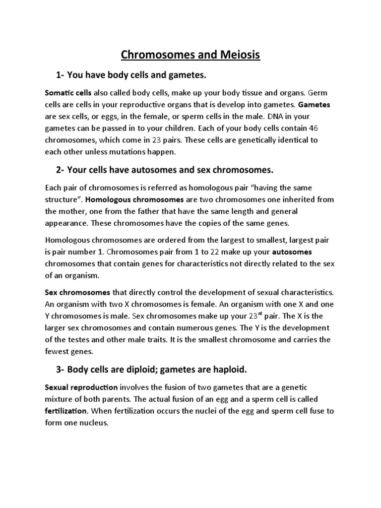Chromosomes and Meiosis | PDF