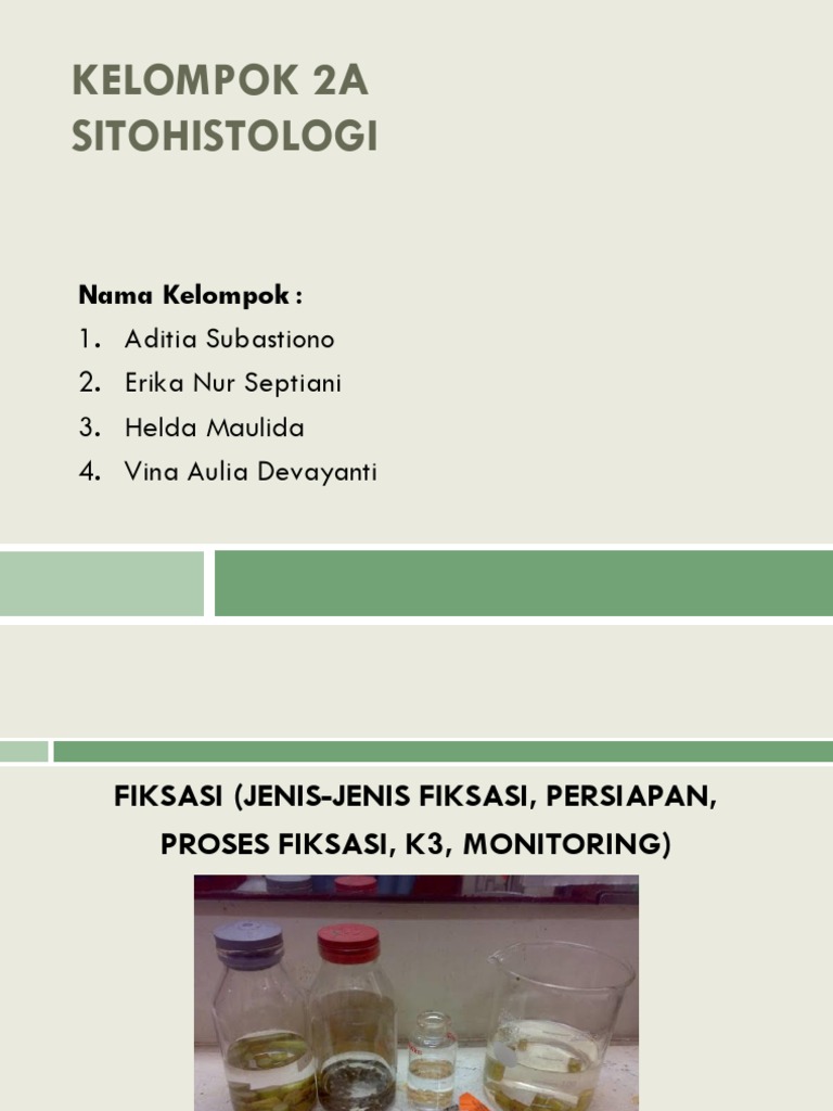 Kel 2 Fiksasi (Jenis-Jenis Fiksasi, Proses Fiksasi, K3, Monitoring) | PDF