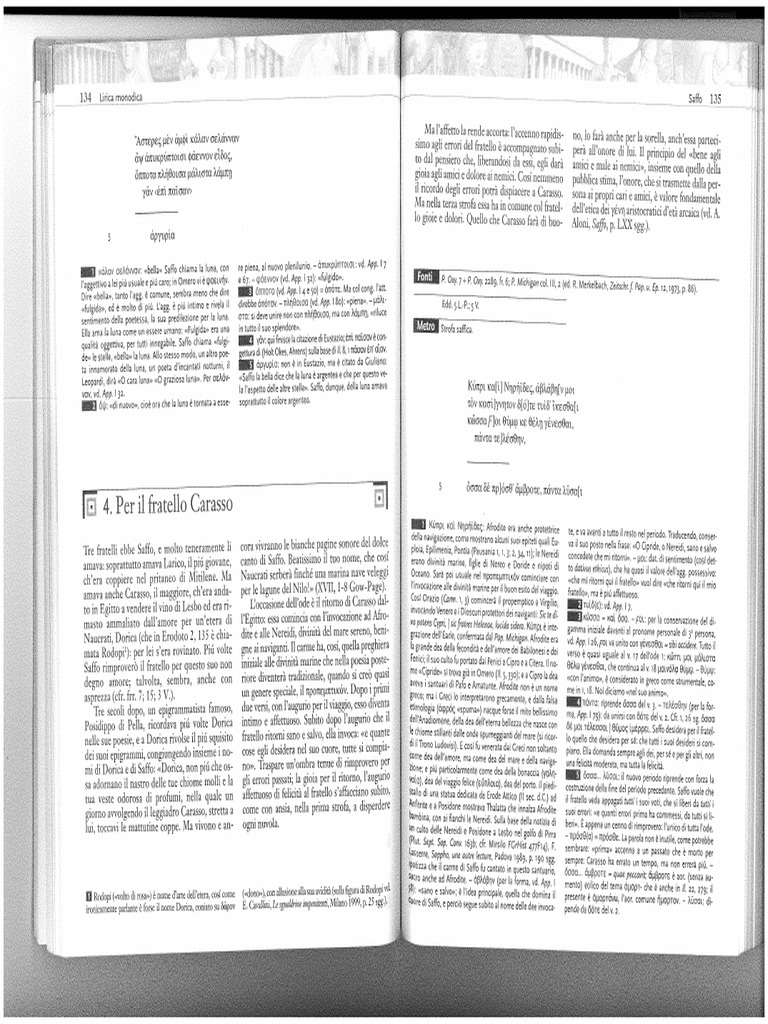 Saffo Fr. 5 v. + Appendice | PDF