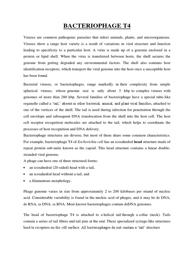 Bacteriophage T4 | PDF | Bacteriophage | Virus