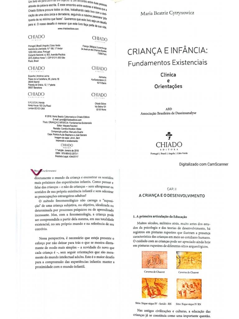 CYTRYNOWICZ 2018 Criança e Infância Cap II e Caso Clínico | PDF