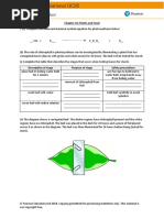 IGCSE Biology Topic 8 Transport in Plants Presentation | PDF | Leaf ...