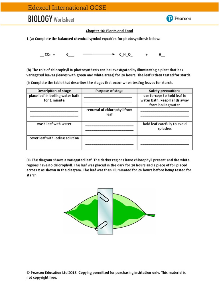 IGCSE_Bio_Worksheet 10_Plants and Food (1) (1) | PDF | Leaf | Chemistry