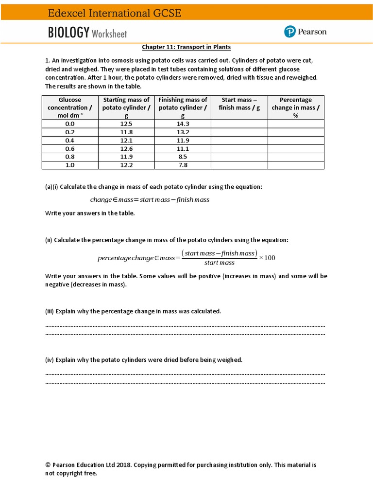 IGCSE - Bio - Worksheet 11 - Transport in Plants | PDF | Chemistry | Physical Sciences