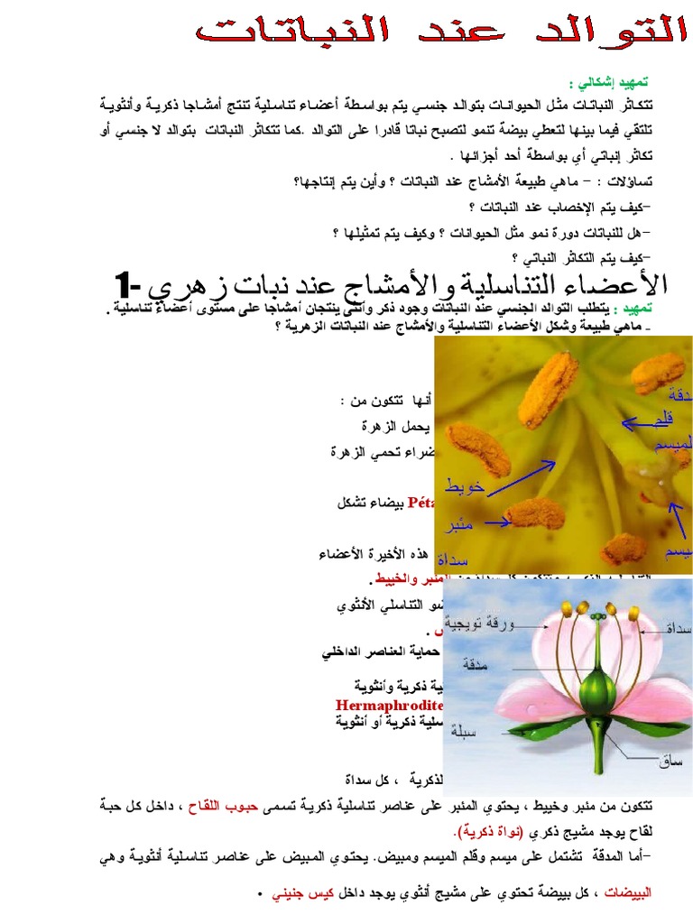 Tawalod Nabatat | PDF