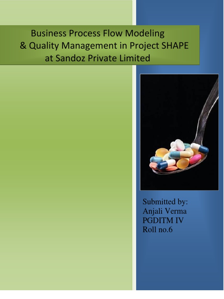 Business Process Flow Modelling | PDF | Novartis | Vaccines