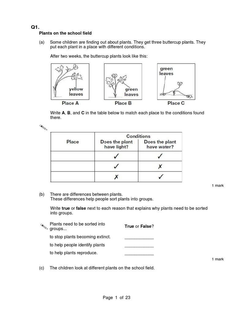 Plants Practice Exam Questions | PDF | Flowers | Petal