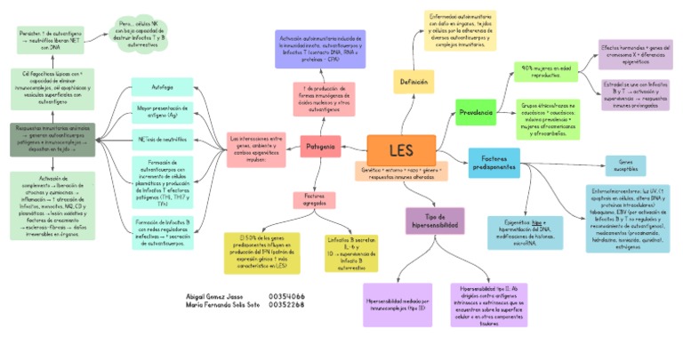 Mapa Conceptual LES | PDF | Sistema inmune | Linfocitos