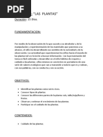 Sesion - de - Aprendizaje Clasificacion de Las Plantas | PDF | Plantas ...