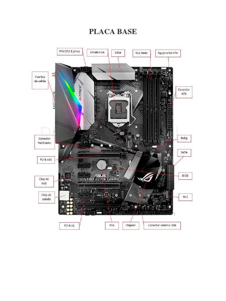 Placa Madre | PDF | Microprocesador | Memoria de acceso aleatorio